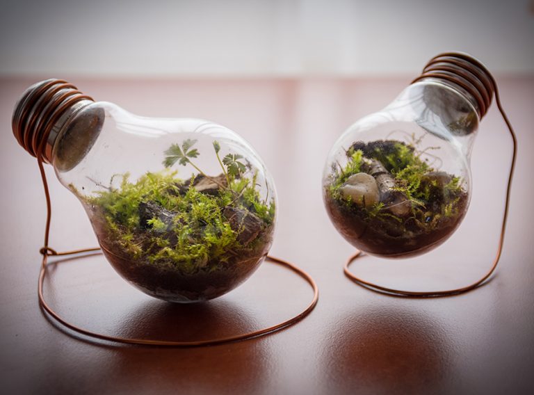 20 Repurposed Decorating Ideas for a Unique and Sustainable Home