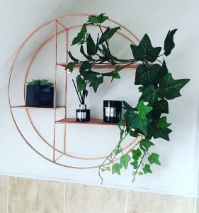 25 Ivy Decorating Ideas for a Lush and Enchanting Space