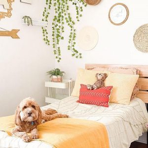 25 Ivy Decorating Ideas for a Lush and Enchanting Space