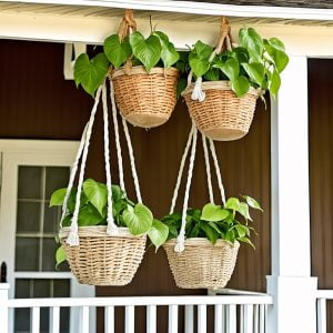 20 Creative Pothos Decoration Ideas for Enhancing Your Living Space
