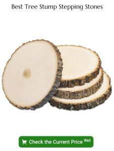 20 Tree Stump Stepping Stone Ideas for an Enchanting Garden Path