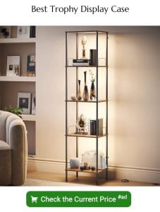 15 Trophy Display Ideas: Creative Solutions for Showcasing Achievements