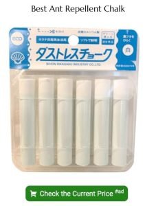 Does Chalk Keep Ants Away? - Understanding Chalk's Efficiency in Pest ...