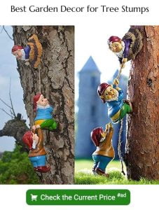 20 Tree Stump Ideas: Transforming Your Yard Artfully