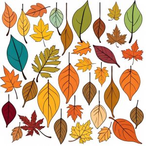 15 Leaf Decoration Ideas to Elevate Your Space