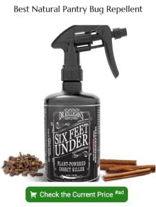 How to Get Rid of Pantry Bugs Naturally: A Comprehensive Guide for a ...