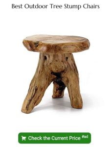 20 Unique Tree Stump Chair Ideas for Your Garden