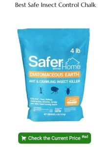 Chinese Chalk: Uses, Safety, and Legal Alternatives